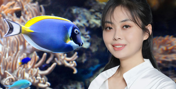 Who We Are | IDEA Intellectual